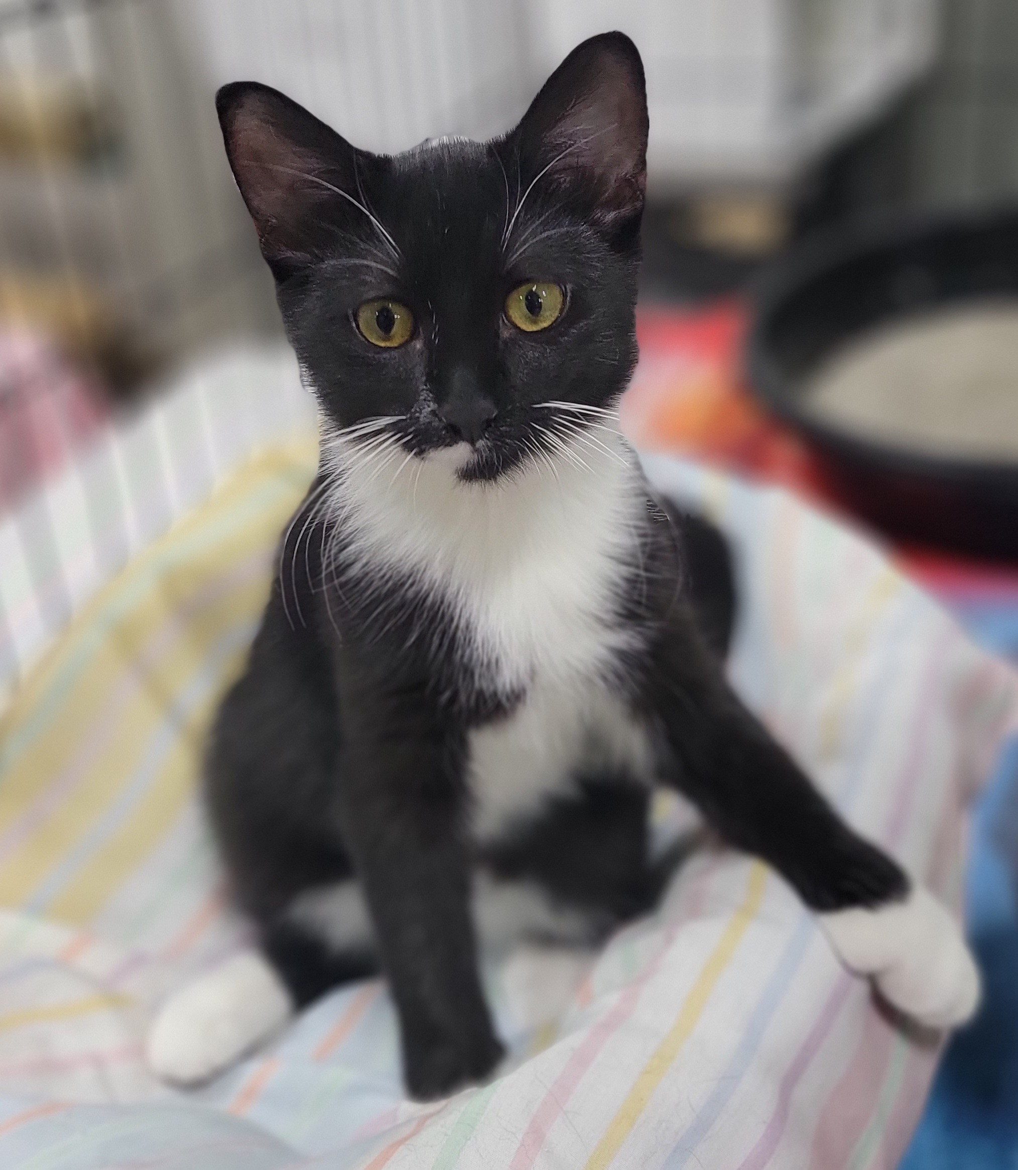 Katrina | Beams Corner