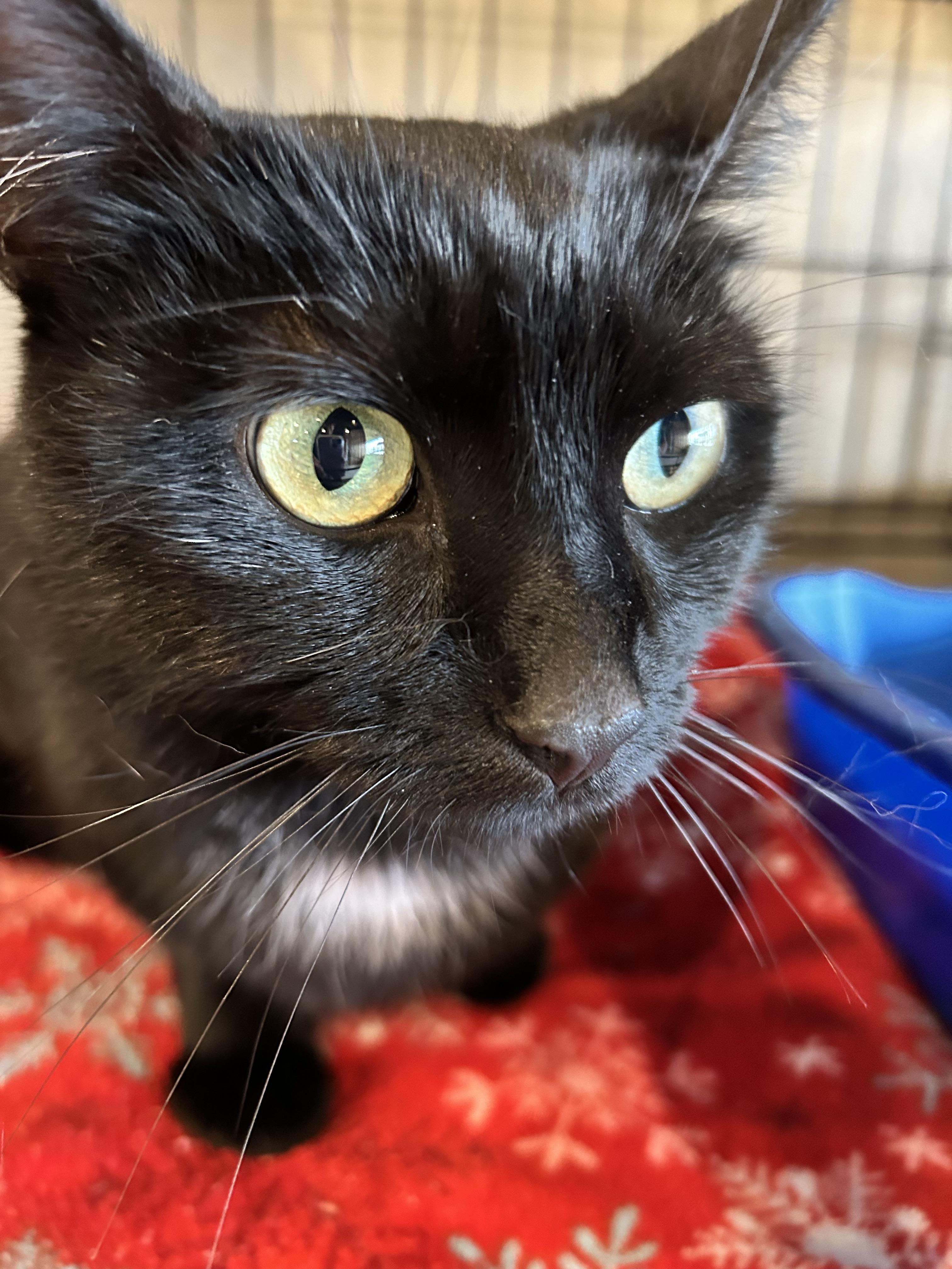 Shadow| Beams Corner