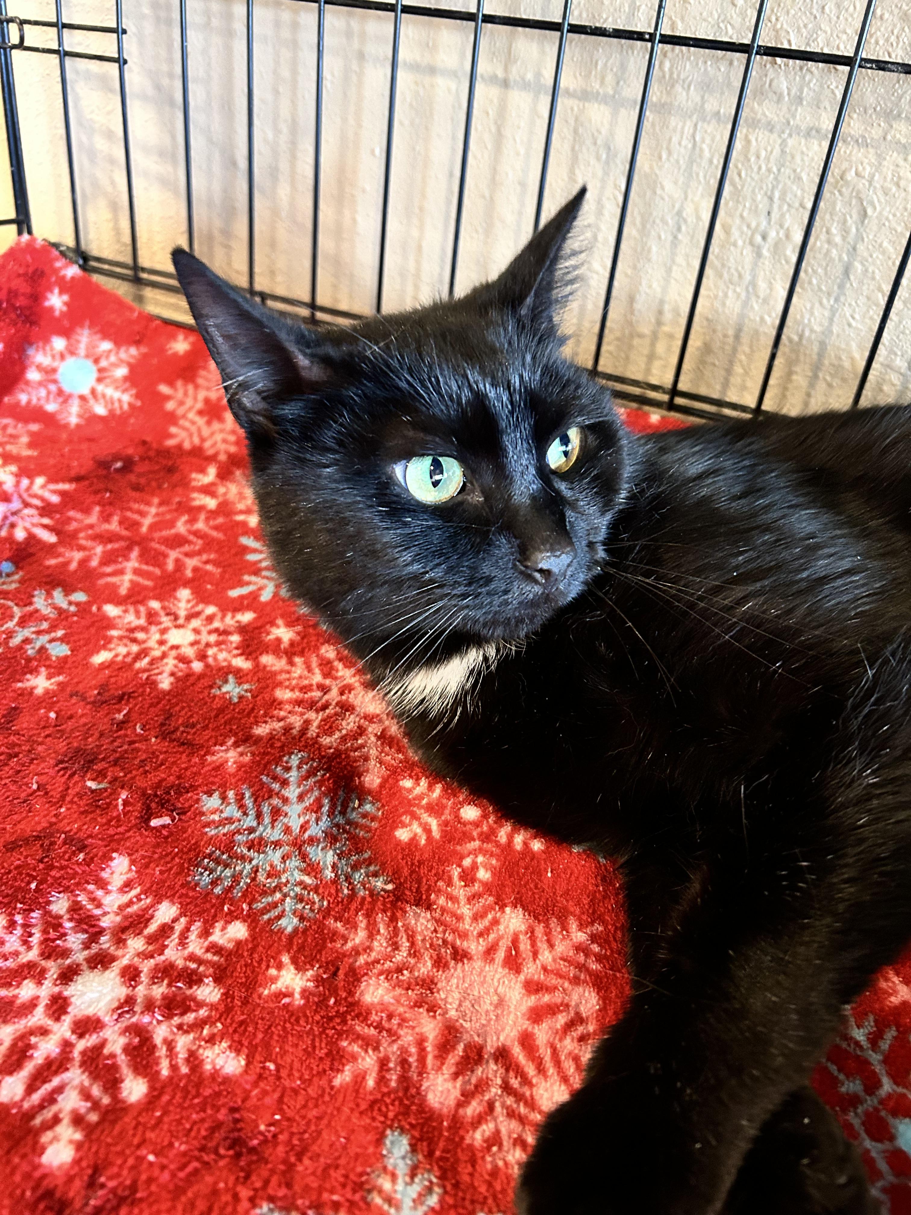 Shadow| Beams Corner