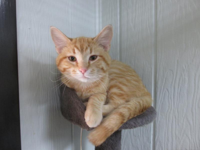 Pac-Man| Beams Corner